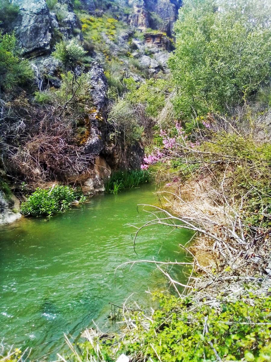 JABALERA | Alcarria Conquense